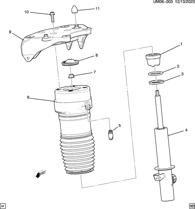 Strut Assembly - Front - 2024 Acura ZDX 5 Door A-Spec (RWD) 1AT